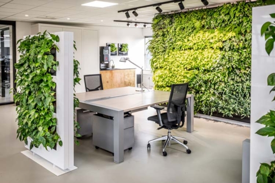 LiveDivider PLUS | Groene scheidingswand op kantoor | Ten Brinke