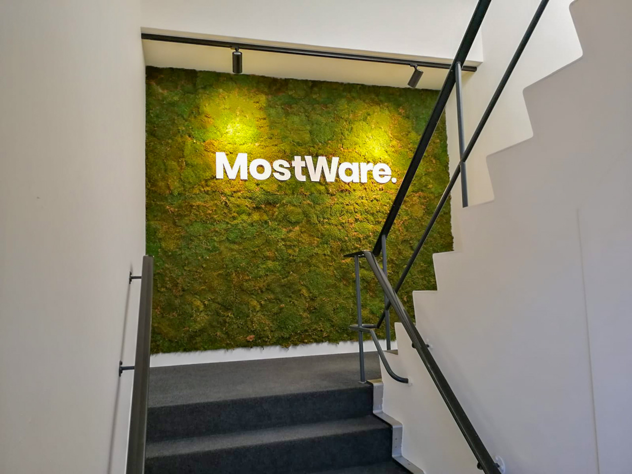 Moswand voor kantoor & bedrijfsruimte | Ten Brinke Interieurbeplanting