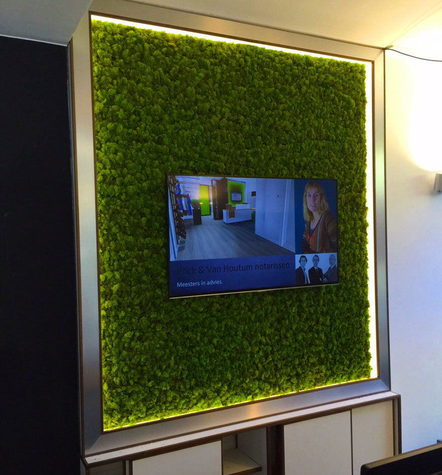 Moswand voor kantoor & bedrijfsruimte | Ten Brinke Interieurbeplanting